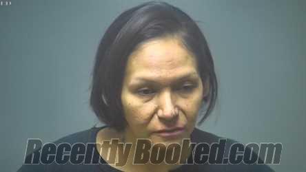 Recent Booking / Mugshot for MEREDITH MARCELLE KOENIG in Isabella ...