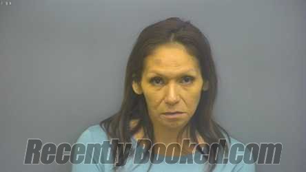 Recent Booking / Mugshot for MEREDITH MARCELLE KOENIG in Isabella ...