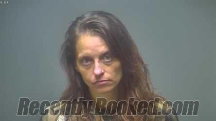 Recent Booking / Mugshot for SHALEE LYNN GEPFORD in Isabella County ...