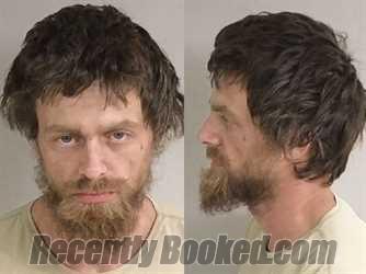 Recent Booking / Mugshot for Damien Luther Knapp in Jackson County, Michigan