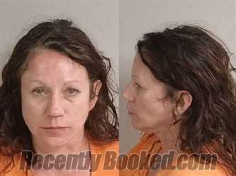 Recent Booking / Mugshot for JONA NICOL DELUCA in Jackson County, Michigan