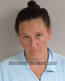 Recent Booking / Mugshot for Sandy Ann Wilcher in Jackson County, Michigan