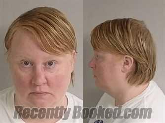 Renee Lynn Nelson Mugshot & Arrest Info | Jackson County, MI