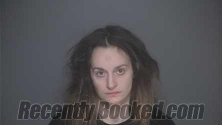Recent Booking / Mugshot for JACLYN KING in Lapeer County, Michigan