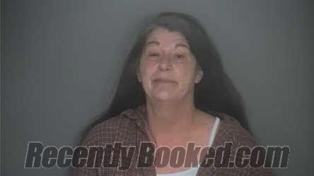 Recent Booking / Mugshot for TERRI FIKE in Lapeer County, Michigan