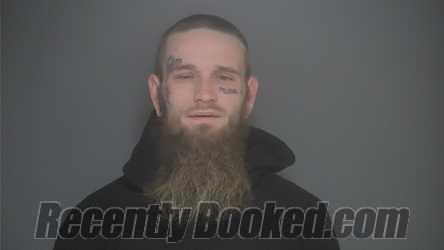 RYAN RISKEY Arrest Record & Booking Info – Lapeer County, Michigan ...
