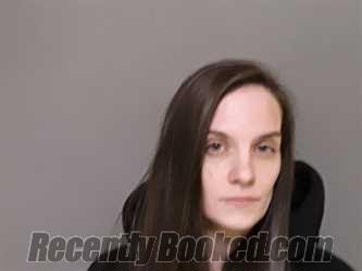 Recent Booking / Mugshot for Tisha Garrett in Lapeer County, Michigan