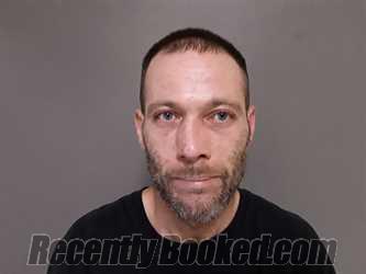 Recent Booking / Mugshot for NATHAN HOOK in Lapeer County, Michigan