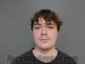 Recent Booking / Mugshot for Ethan Sanford in Lapeer County, Michigan