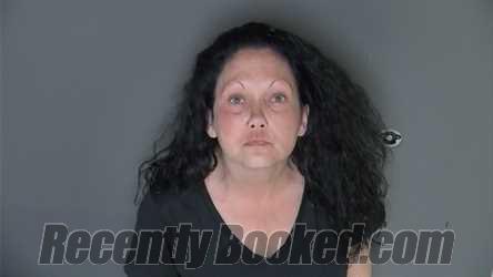 Recent Booking / Mugshot for ANGELA PERKINS in Lapeer County, Michigan