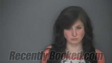 Recent Booking / Mugshot for HEATHER MAXON in Lapeer County, Michigan