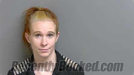 Recent Booking / Mugshot for ALYSSA NICOLE BUTLER in Macomb County ...