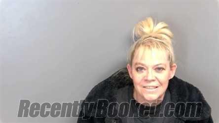 Recent Booking / Mugshot for AMY GENE BIGELOW in Macomb County, Michigan
