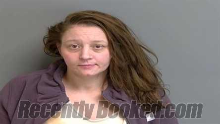 ALEXIS JEAN DYNES Arrest Record & Booking Info – Macomb County ...