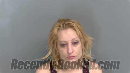 Recent Booking / Mugshot for ANITA ROSE DOMINGUEZ in Macomb County ...