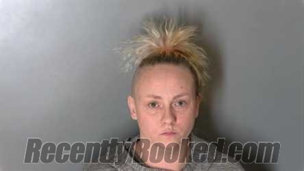 Recent Booking / Mugshot for ANTONIA RACHEL PERSINGER in Macomb County ...