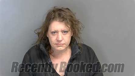 Recent Booking / Mugshot for AMY LYNN ZECH in Macomb County, Michigan