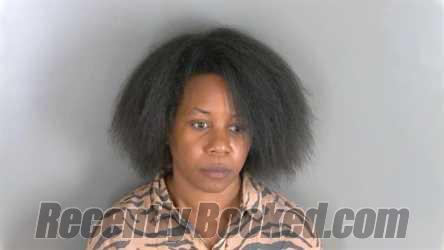 Recent Booking / Mugshot for BRANDEE MARIE-NICOLE BUCKLEY in Macomb ...
