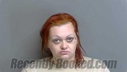 Recent Booking / Mugshot for BREANNA FAYE JOHNSON in Macomb County ...