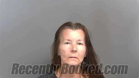 Recent Booking / Mugshot for CINDY LYNN BURIN in Macomb County, Michigan