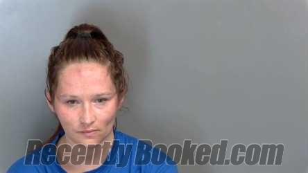 CRYSTEL MARIE WEAVER Arrest Record & Booking Info – Macomb County ...