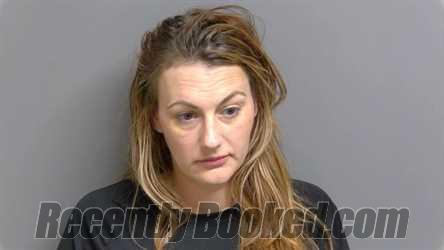 Recent Booking / Mugshot for JENNIFER MARIE NUMMER in Macomb County ...