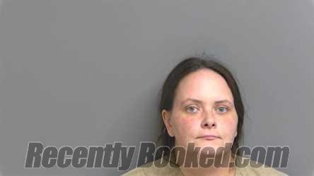 Recent Booking / Mugshot for JORDAN LYNNE RASCHE in Macomb County, Michigan