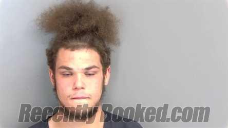 Recent Booking / Mugshot for JACKSON COLE WHALEY in Macomb County, Michigan