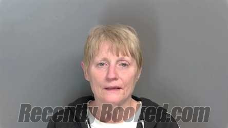 Recent Booking / Mugshot for KIM ANN GRAY in Macomb County, Michigan