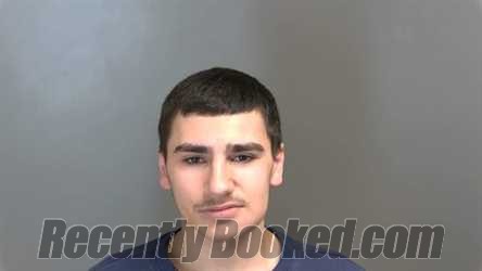 Recent Booking / Mugshot for LORENZO CHRISTOPHER CRACCHIOLO in Macomb ...