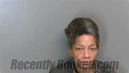 Recent Booking / Mugshot for LASHELLE ARNETTA-THOMAS WALKER in Macomb ...