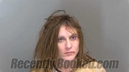 Recent Booking / Mugshot for MELISSA DANIELLE MULLEN in Macomb County ...