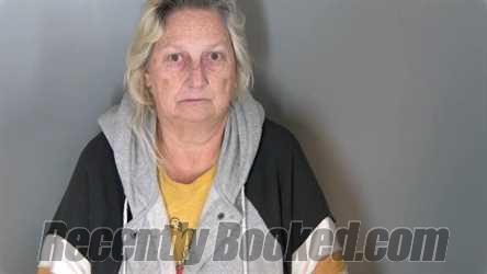 Recent Booking / Mugshot for MICHELLE ELAINE MARTIN in Macomb County ...