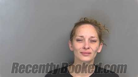 NATALIE EVE VANSLAMBROUCK Arrest Record & Booking Info – Macomb County ...