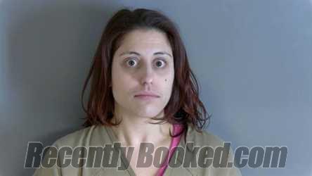 Recent Booking / Mugshot for SARAH ANN CORBIT in Macomb County, Michigan
