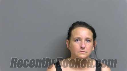 Recent Booking / Mugshot for SHANNON CHRISTIAN in Macomb County, Michigan