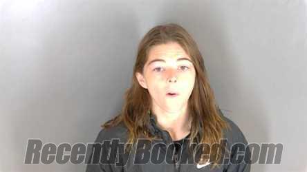 Recent Booking / Mugshot for SAMANTHA MARIE LINKSWILER in Macomb County ...