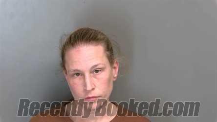 Recent Booking / Mugshot for SARAH ELIZABETH NICHOLSON in Macomb County ...