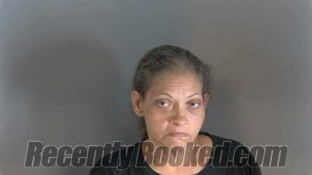 Recent Booking / Mugshot for SHANE ANN SNELL in Macomb County, Michigan