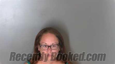 Recent Booking / Mugshot for TERESA HEBERT in Macomb County, Michigan