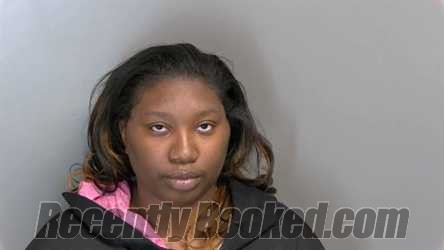 Recent Booking / Mugshot for TESS MARIE LEWIS in Macomb County, Michigan