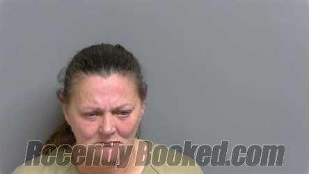 Recent Booking / Mugshot for THERESA ANN SAAVEDRA in Macomb County ...