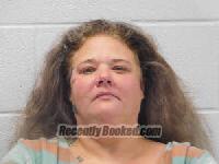 Recent Booking / Mugshot for Amber Lee Avery in Polk County, North Carolina