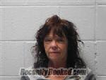 Recent Booking / Mugshot for Lori Ann Sands in Polk County, North Carolina