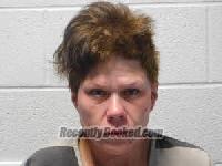 Recent Booking / Mugshot for Patricia Ann Ledford in Polk County, North ...