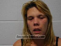 Recent Booking / Mugshot for Kelly Helen Waldrop in Polk County, North ...