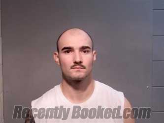 Recent Booking / Mugshot for BRENT JOSEPH-SANTANNA NEWTON in Marquette ...