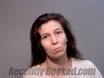 Beth Ann Gauthier Mugshot & Arrest Info | Marquette County, MI
