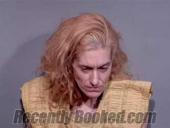 Recent Booking / Mugshot for JENNIFER RAE FISK in Marquette County ...