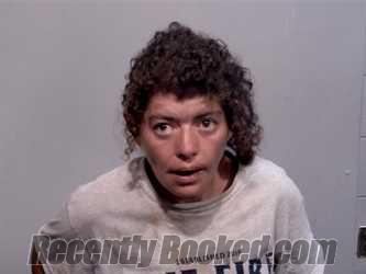 Recent Booking / Mugshot for SANDRA PAULETTE CHENEY in Marquette County ...
